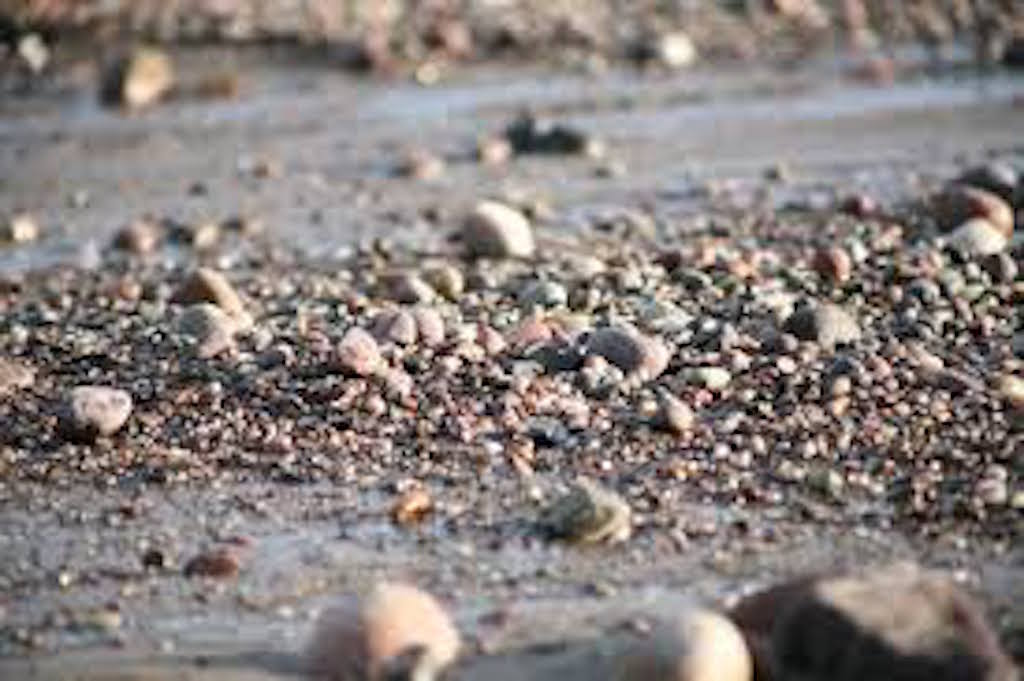 Seeds On Rocky Soil – By Ritchie Way | Good News Unlimited